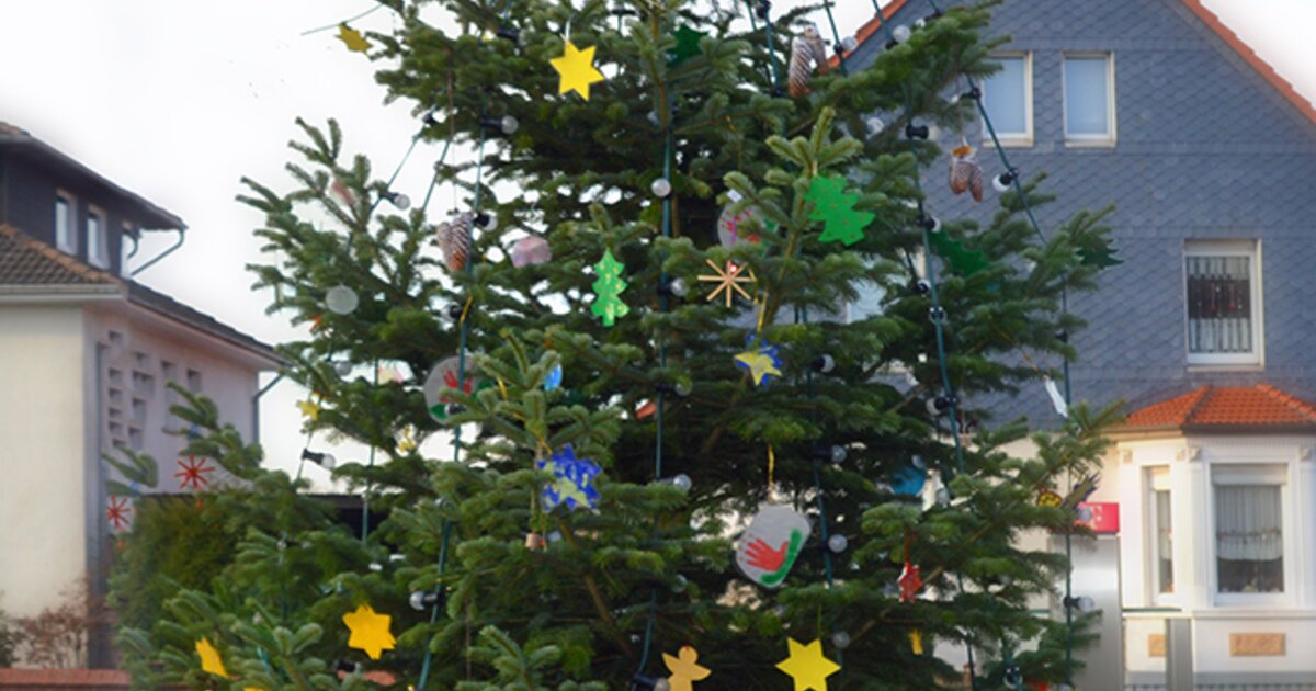 Weihnachtsbäume: Fürs Loswerden gibt es 16 städtische Sammelstellen ... Weihnachtsbäume: Fürs Loswerden gibt es 16 städtische Sammelstellen ...